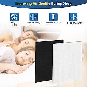 DerBlue 2 Pack C545 True HEPA Filter & 8 Pcs Carbon Pre-Filters Replacement Filter S for Winix C545, True HEPA Filter and Activated Carbon Filter, Part Number 1712-0096-00