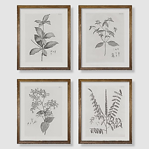 Farmhouse Wall Art Botanical Prints - Vintage Flower Boho Minimalist Floral Poster Decor for Bedroom Living Kitchen Bathroom Home Office - Black and White Plant Leave Wall Art - Set of 4 Picture 8x10