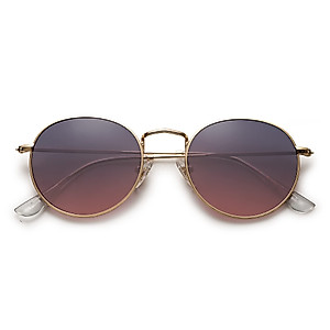 SOJOS Small Round Polarized Sunglasses for Women Men Classic Vintage Retro Shades UV400 SJ1014, Gold/Grey&Pink