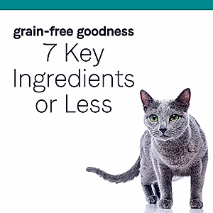 Canidae Pure Limited Ingredient Premium Dry Cat Food, Real Salmon Recipe, 10 lbs, Grain Free