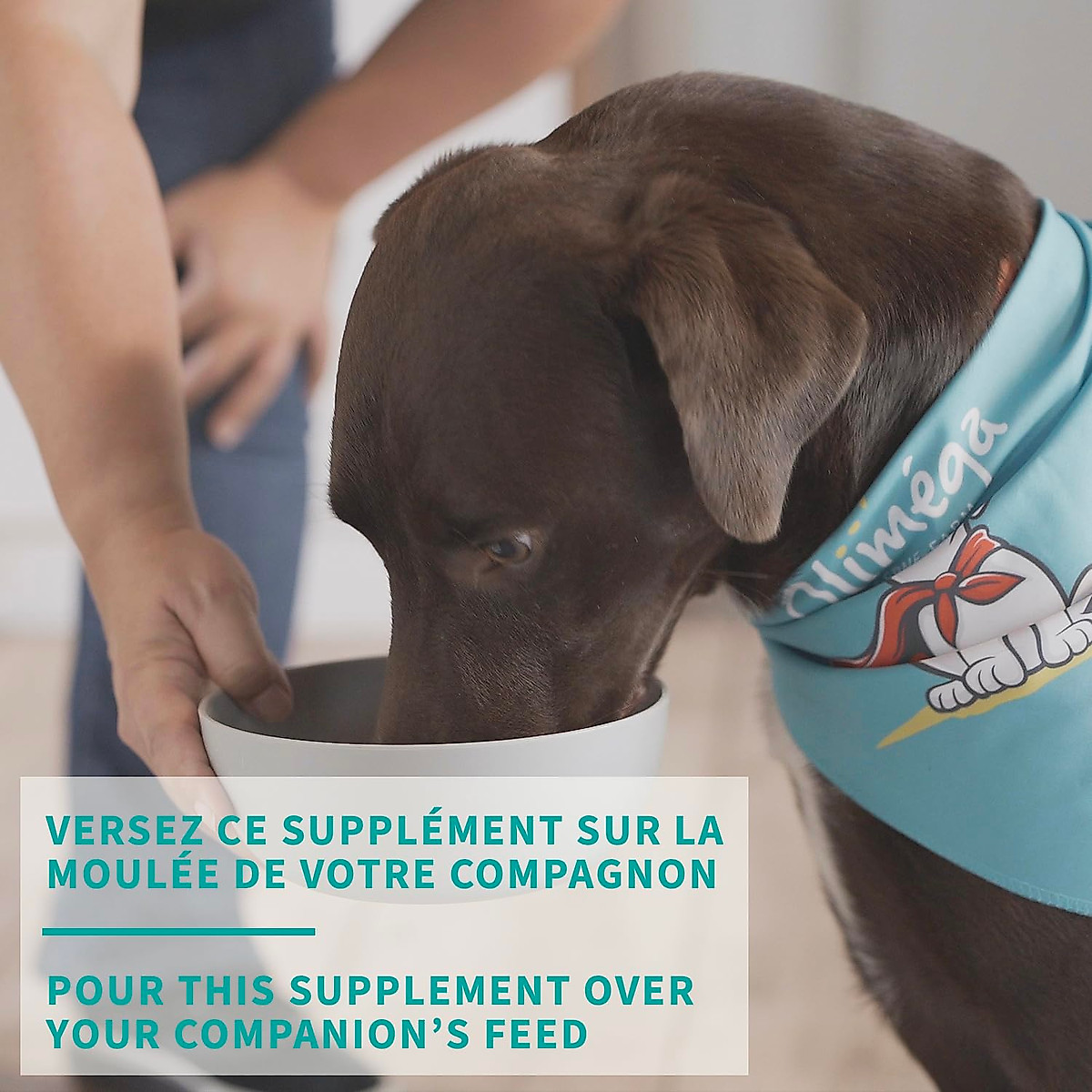 Camelina Oil for Dogs & Cats, 500mL by Olimega Farm | High in Omega-3 & Vitamin E | Support for Healthy Joints, Coat & Skin | Alternative to Salmon Oil for Dogs | Made in Canada | Non-GMO