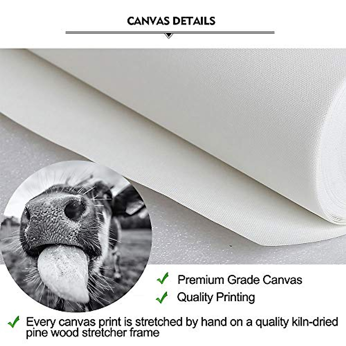 iKNOW FOTO Canvas Print Wall Art Black and White Freedom Highland Cow Pictures Funny Animal Painting Stretched and Framed Artwork for Home Office Decor Ready to Hang 24x36inch