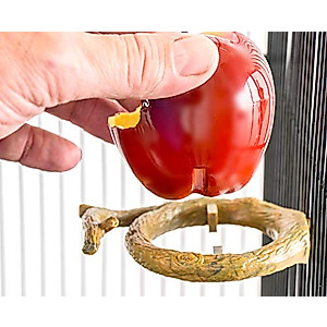 Penn-Plax Garden Cups – for Seed, Water, and Treats – Great for Small Birds (Parakeets/Budgies, Parrotlets, Cockatiels, Canaries, & Finches) – Apple (BA450)