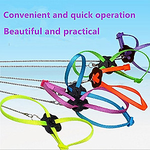 RZRZOO Adjustable Reptile Lizard Harness Leash Multi Color Light Soft Fashion Pet Small Animal，Random Color