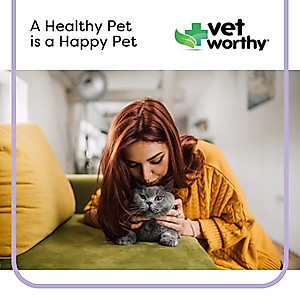 Vet Worthy Lysine Paw Gel Aid for Cats - Cat Paw Gel to Support The Immune System and Overall Health - Cat Supplement with Amino Acid L-Lysine- Salmon Flavor Gel, 3oz