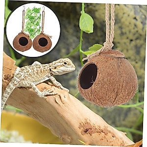TEHAUX 4pcs Lizard Coconut Nest Pet House Natural Pigeon Bird House Crested Gecko Hide Parrot Cage Cages Bird Hut Pet s Coconut Shell Reptile Pet Nest Bird Cage Rope Hamster