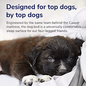 Casper Dog Bed, Plush Memory Foam, Medium, Gray, 25.0"L x 33.0"W x 6.0"Th