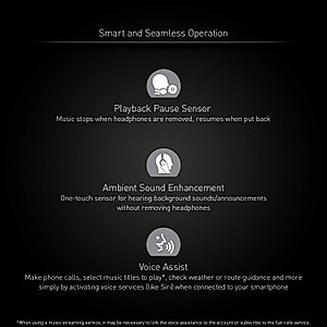 Technics Premium Hi-Res Wireless Bluetooth Stereo Headphones with 40 mm