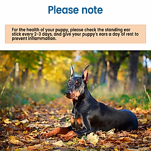 Doberman Ear Posting Kit - Stand Up Support Tool with Tape for Pinscher Dogs' Ears