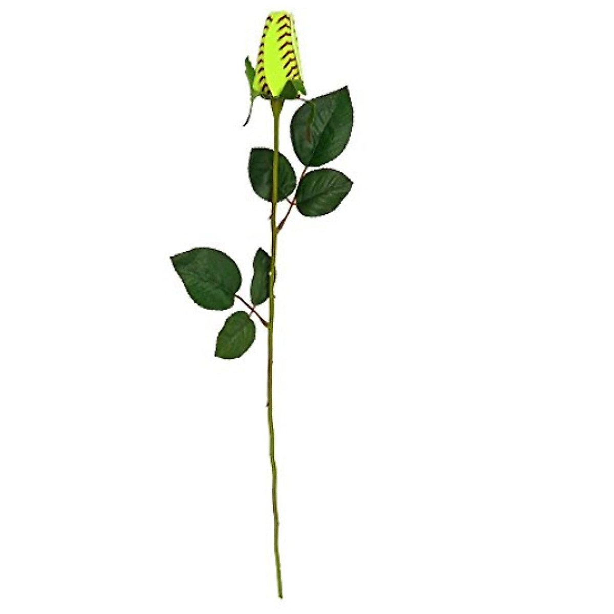 Kenz Laurenz Softball Rose - Sports Roses Flowers Softball Gifts for Girls Mom Coach Team Players Dad Fathers Day (Softball Rose)