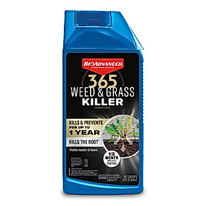 BioAdvanced 365 Weed & Grass Killer, Concentrated, 28 Oz