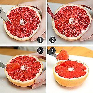 Better Houseware Grapefruit Knife curved serrated Stainless Steel Knife w/Nylon Handle, Serrated Edge grapefruit peeler knife, kiwi knife, lemon zester, Dishwasher Safe | Kitchen Utensils