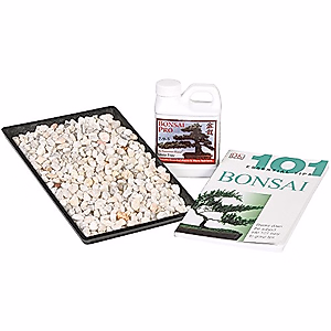 Brussel's Bonsai SPCOMBO3 13" Starter Success Kit Humidity Tray