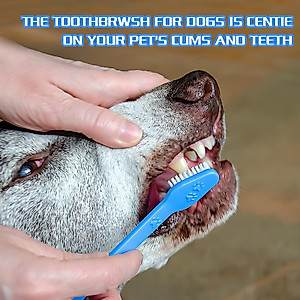 Mozeat Lens Dog Toothbrush Set of 8 Double Headed Pet Dog Toothbrush for Small to Large Dogs Cat Toothbrush to Clean pet Teeth Dog Tooth Brushes, Easy Teeth Cleaning & Dental Care