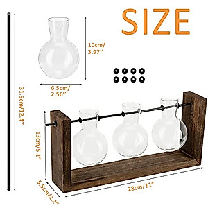 Yangbaga Plant Propagation Stations Terrarium Glass Planter with Wooden Stand 3 Bulb Vases for Hydroponics Indoor Office Desk Home Decor, Plant Holder Gifts