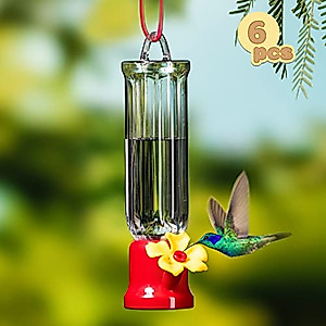 JOIEDOMI Set of 6 Mini Hummingbird Feeders with Hanging Wires, Transparent Outdoor Humming Bird Feeder Set with 3 Cleaning Brush for Patio, Outside, Lawn, Backyard, Garden, Easy to Clean