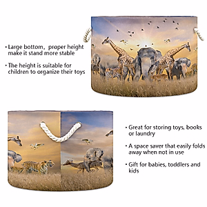 xigua African Safari Animals Round Storage Basket Collapse Canvas Fabric Storage Bin with Cotton Handles for Organizing Home/Kitchen/Nursery/Office/Kids Toy