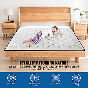 Free Flow Full Wave Mediume Water Bed, Square Purple Durable PVC Foldable Water Bed Set with Smart Thermostats, No Frame Needed Softside Water Bed, Water Beds for Adults, Elderly (Queen)