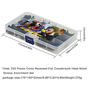 SZHKM Screws Drywall Screws Quality Black Steel #6 Sharp Point Self Tapping Screws with Anchors Black Steel Wood Screws Assortment Set, Machine Screws, 250PCS - for Drywall Sheetrock, Wood and More