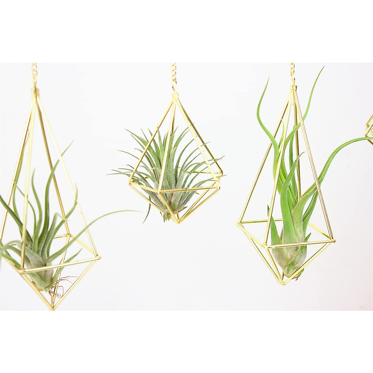 Geometric Hanging Tillandsia Holder Gold Metal Air Plants Holders Hanging for House Decor Living Room,Small Plant Holders Indoor Hanging,Plant Lover Gifts (5Pcs)