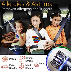 Car Air Purifier Ionizer - 12V Plug-in Ionic Anti-Microbial Car Deodorizer with Dual USB Charger - Smoke Smell, Pet and Food Odors, Allergens, Viruses Eliminator for Car (Matte Black)