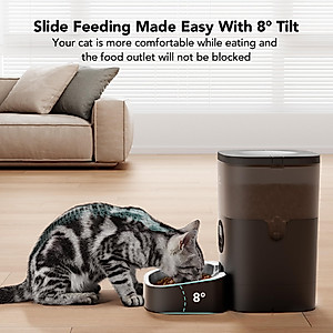 PETLIBRO Automatic Cat Feeder, Automatic Cat Food Dispenser with Timer Interactive Voice Recorder, Auto Cat Feeder with 1-4 Meals Control Dry Food, Black Transparent