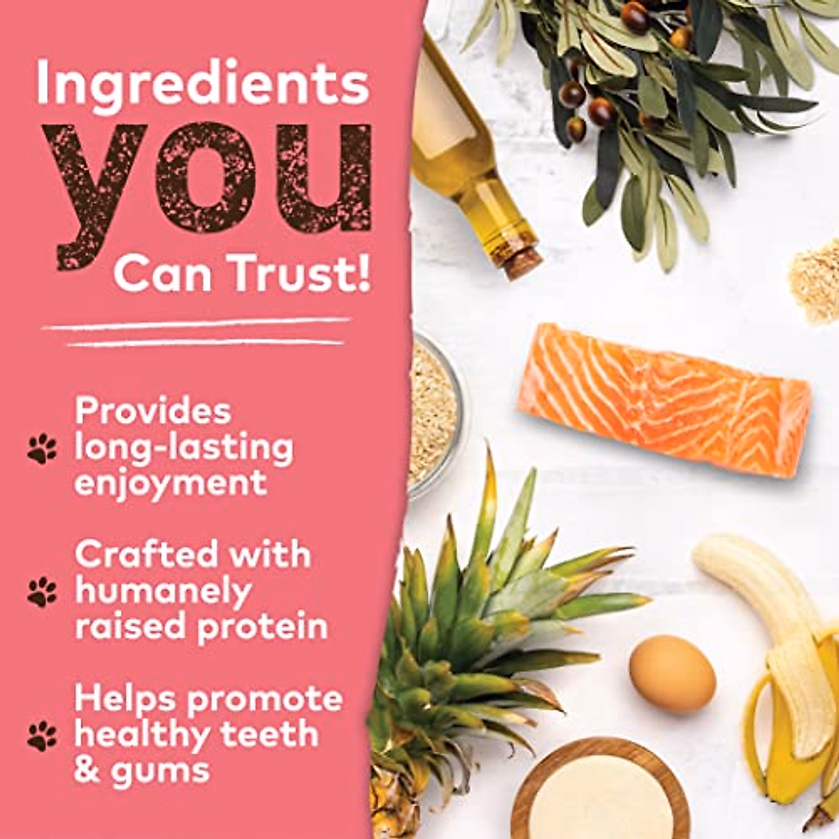 EARTH ANIMAL No Hide Stix Salmon Flavored Natural Rawhide Free Dog Chews Long Lasting Dog Chew Sticks | Dog Treats for Small Dogs and Cats | Great Dog Chews for Aggressive Chewers (3 Pack)