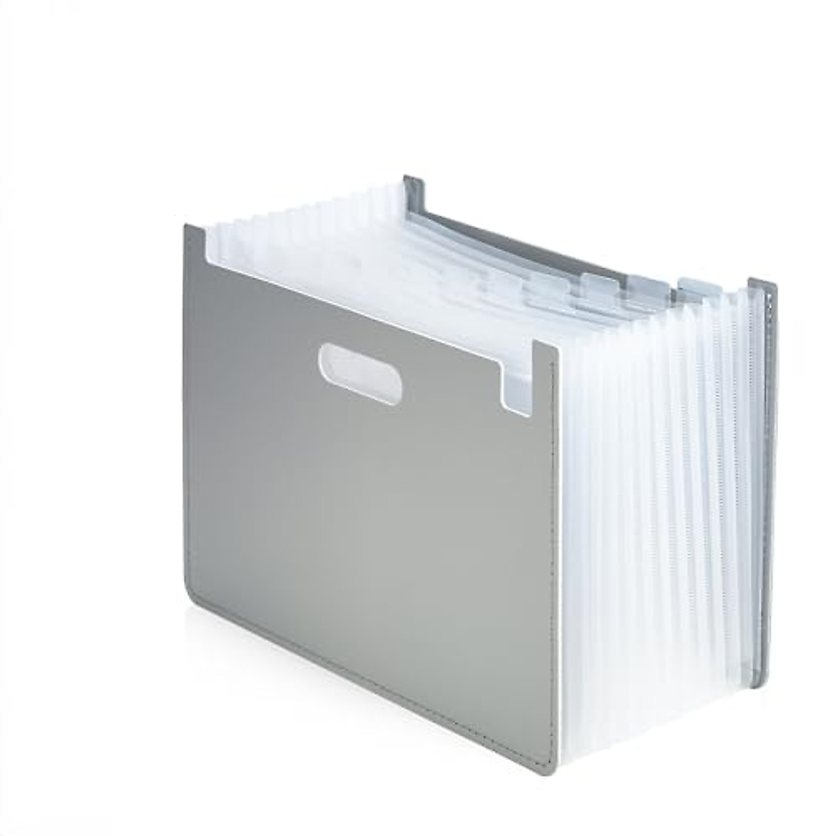 ZQS Magazine File Holder, Desk Organizer File Folder for Office Organization and Storage, Sturdy Plastic Binder Organizer, 13 Vertical Compartmente，Desktop Accessories for Home and Office Storage