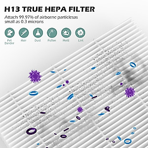 F1 Replacement Filter Compatible with Filtrete 3M C01 T02 Room Air Cleaner Purifer FAP-C01-F1,FAP-T02-F1, FAP-01BA-G1, FAP-T02WA-G1 ＆ FAP-ST02N, Part#FAPF-F1-2P, 2packs