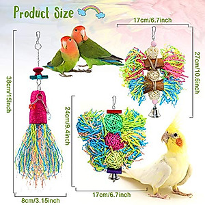 BWOGUE Bird Chewing Toys Parrot Shredder Toy Shred Foraging Hanging Cage Toy for Conure Cockatiel African Grey Amazon (3 Pack)