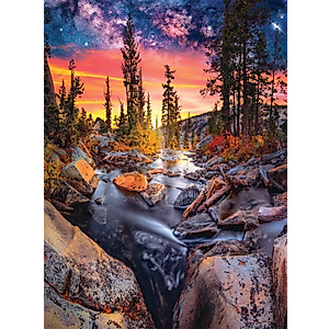 Buffalo Games - Earthpix - Forest Magic Hour - 1000 Piece Jigsaw Puzzle for Adults -Challenging Puzzle Perfect for Game Nights - Finished Size is 26.75 x 19.75