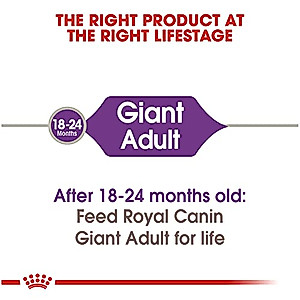 Royal Canin Giant Breed Adult Dry Dog Food, 30 lb Bag