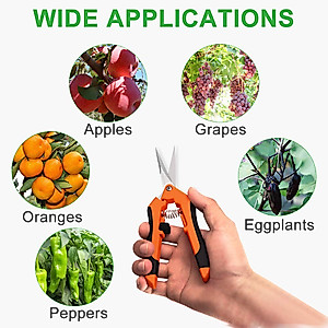 GROWNEER 3 Packs Pruning Shears with Straight Blades, 3 Packs Trimming Scissors with Non Stick Blades, Gardening Hand Pruning Snips with Straight Stainless Steel Precision Blade