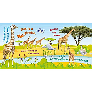 First Animal Facts: Safari-5 Button Animal Sounds Book