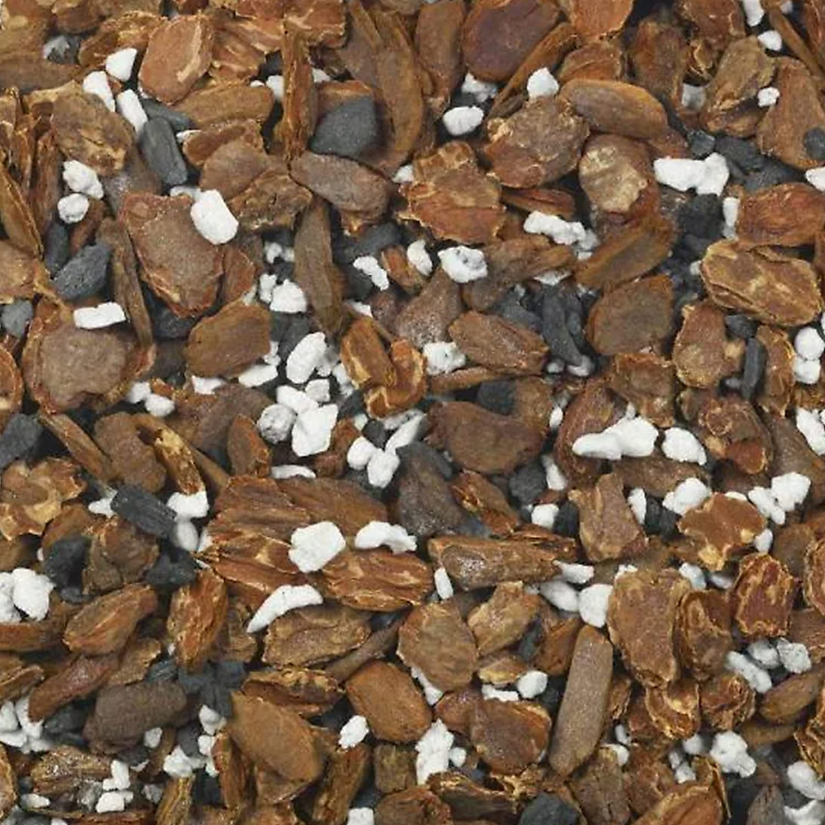 Sun Bulb 5002 Better-Gro Special Orchid Mix, 8 Quarts