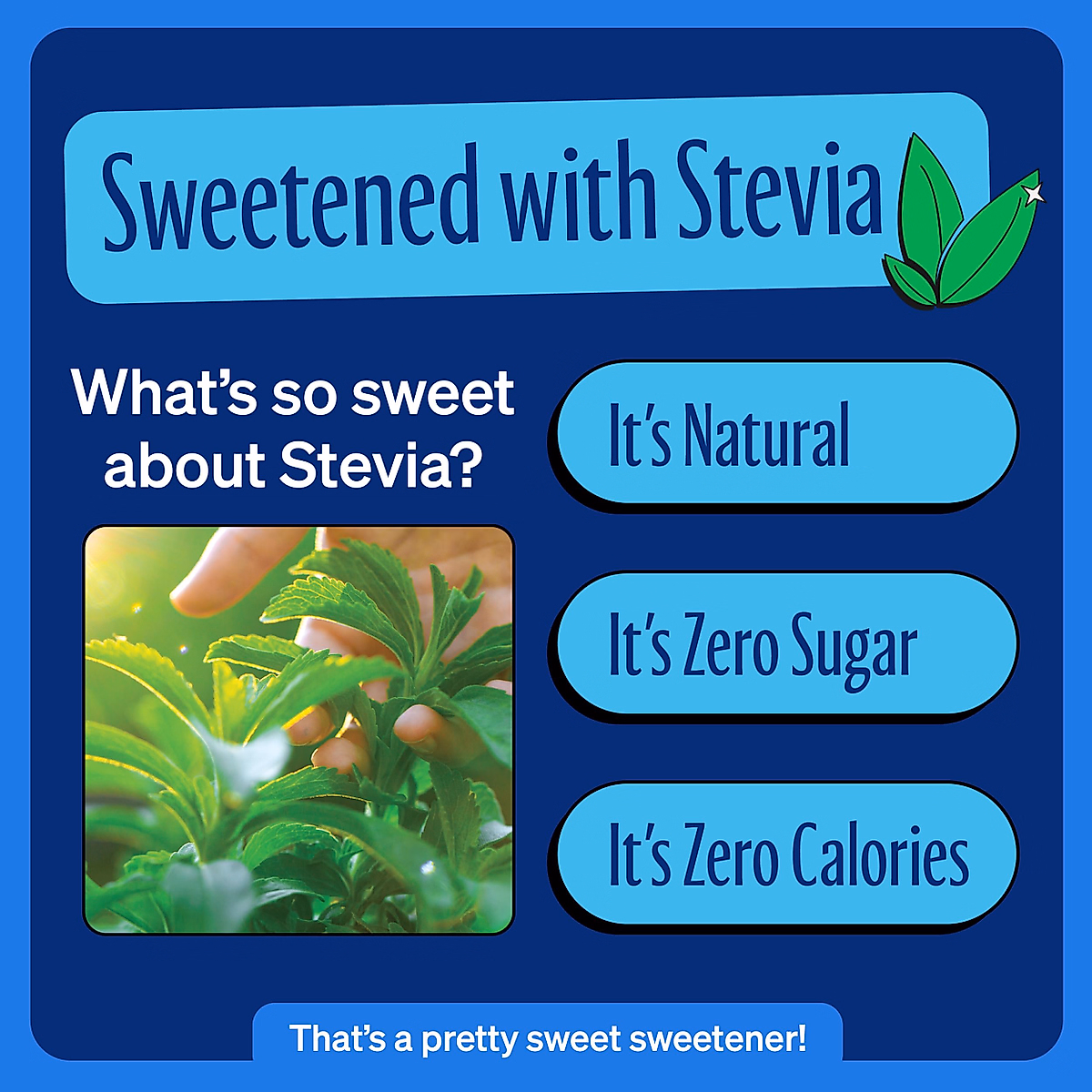 Zevia Zero Sugar Soda, Cola, 12 oz Cans (24-Pack) – Naturally Sweetened, Zero Calorie Sugar Free Soda - Non-GMO Project Verified, Gluten-Free, Vegan