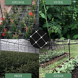 DL Wholesale VineLine Trellis Netting Garden Plant Plastic Trellis Net Roll for Climbing Plants Grow Support Fruits Vegetables, White, 4 ft x 100'