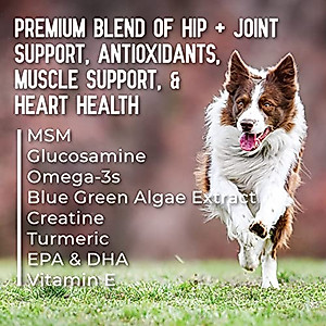 ACTIVPHY Hip + Joint Supplement with Glucosamine, MSM, and Blue Green Algae Extract, Vet Formulated, Anti-Inflammatory, Arthritis Relief, & Antioxidants, Made in USA, For Dogs, 75 ct
