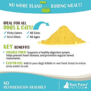 Raw Paws Boost Pet Food Topper Organic Pumpkin Powder, 3-oz - Made in USA - Grain-Free Dog Toppers for Dry Food - Anti Scoot Powder Pumpkin for Dogs - Vegan Dog Food Gravy - Dog Meal Toppers for Dogs