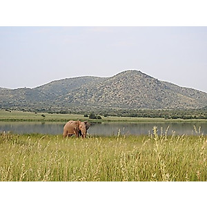 Nikon Coolpix P900 Super Zoom Camera - New