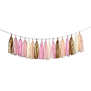 GUZON 25 PCS DIY Tassel Garland Tissue Paper Tassel Banner Pompom for Wedding, Bachelorette, Baby Shower Christmas, Birthday Home Decorations
