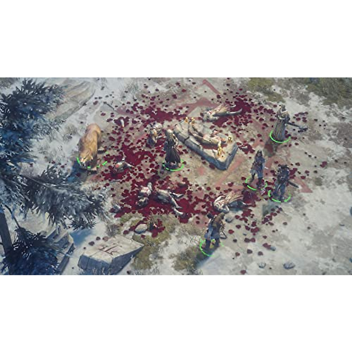 Pathfinder: Wrath of the Righteous - Xbox One