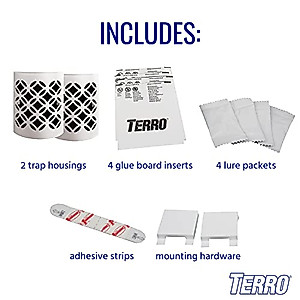 TERRO T550 Discreet Odorless Indoor Fly Trap Plus Lure - Attracts, Traps, and Kills House Flies