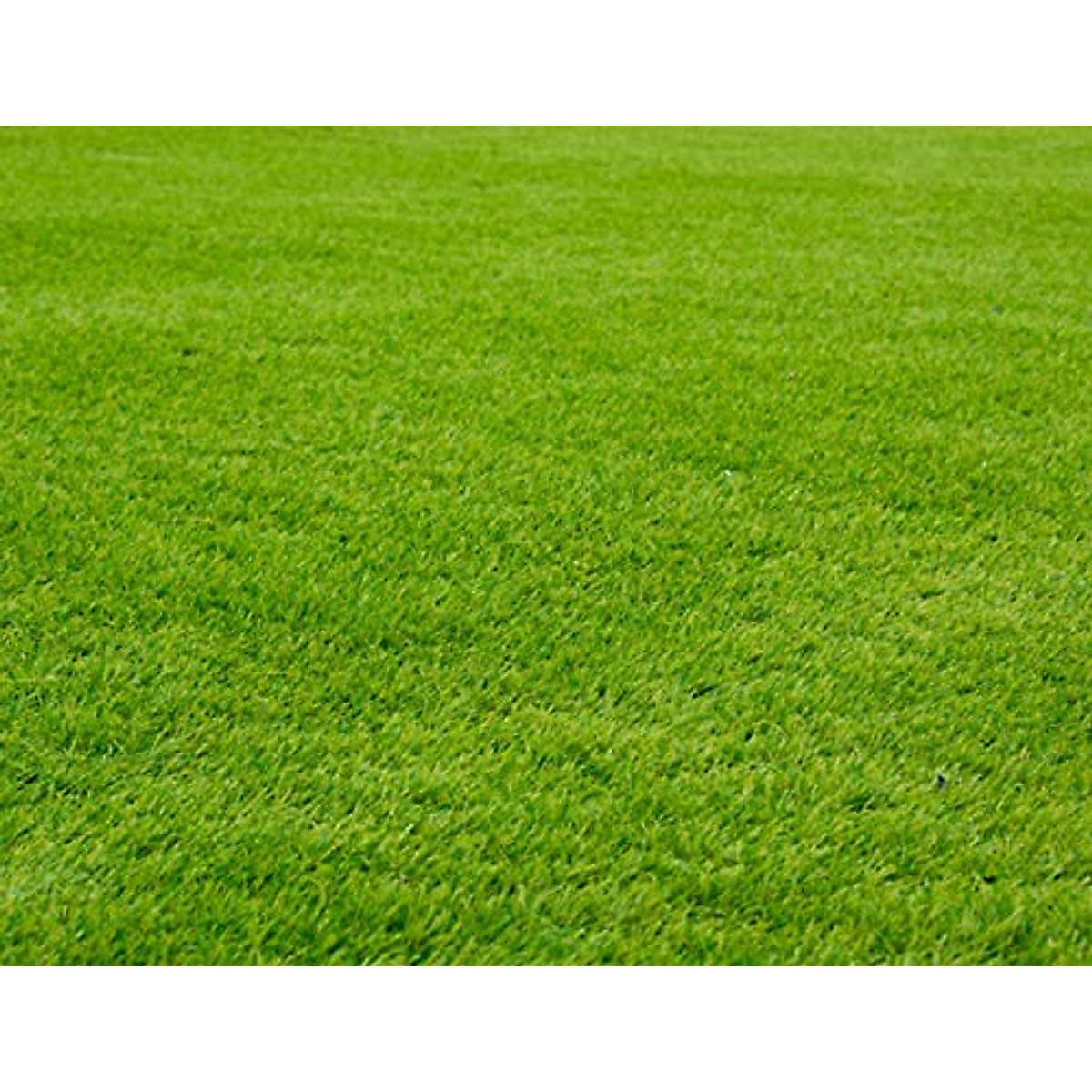 Nature's Seed TURF-CYDA-5000-F Bermudagrass Seed Blend, 5000 sq. ft.