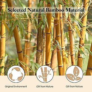 GAINWELL Bamboo Hair Brush for Hair Growth, Natural Bamboo Bristles Detangling Wooden Paddle Hairbrush for Massaging Scalp, for Women Men and Kids, for All Hair Types, with Ergonomic handle