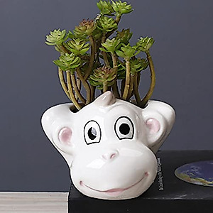 Yardwe Mini Planter 1pc Cartoon Animal Vase Small Planter Pots Succulent Plant Pots Cute Animal Planter Garden Planters Animal Pots Pottery Flower Pots s Modern Ceramics White Clay