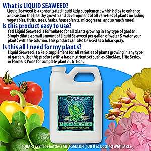 Liquid Seaweed for Plants (32 oz) Quart | Concentrated Liquid Kelp Supplement | Makes UP to 470 GALLONS | for All Plants & Gardens | Blue Planet Nutrients