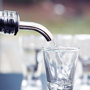 (Pack of 12) Stainless Steel Curved Liquor Bottle Pourer, Speed Pourer with Gooseneck Spout, Liquor Pour Spouts by Tezzorio