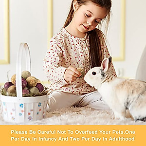 Nuanchu 22 Pieces Flowers Timothy Hay Balls Bunny Chew Balls 3 Flavors Chew Toys Chew Treats Timothy Molar Ball for Bunny, Chinchillas Gerbils, Hamster Guinea Pig and Other Small Animals Teeth Care