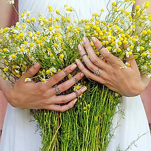 Flowers carved Swirl Cut Out Filigree Midi Band Toe Ring For Women .925 Silver Sterling Mid Finger Adjustable